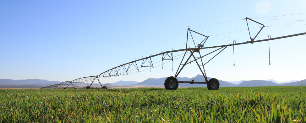 Chris Hani Development Agency